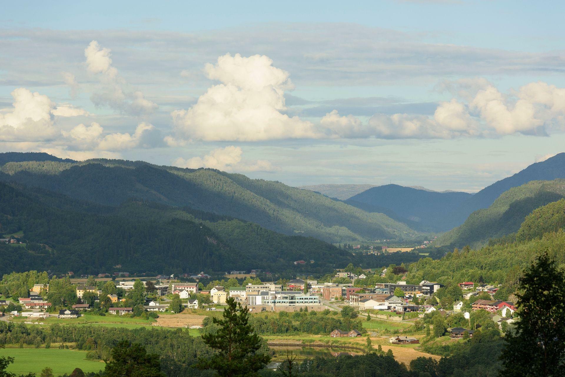 Hva kan jeg gjøre selv? | Svorka